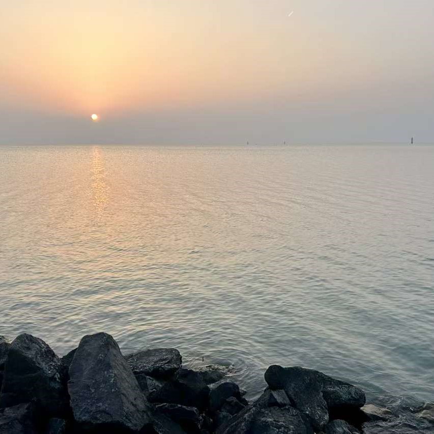 Hobbies – Xiaoyang Huang